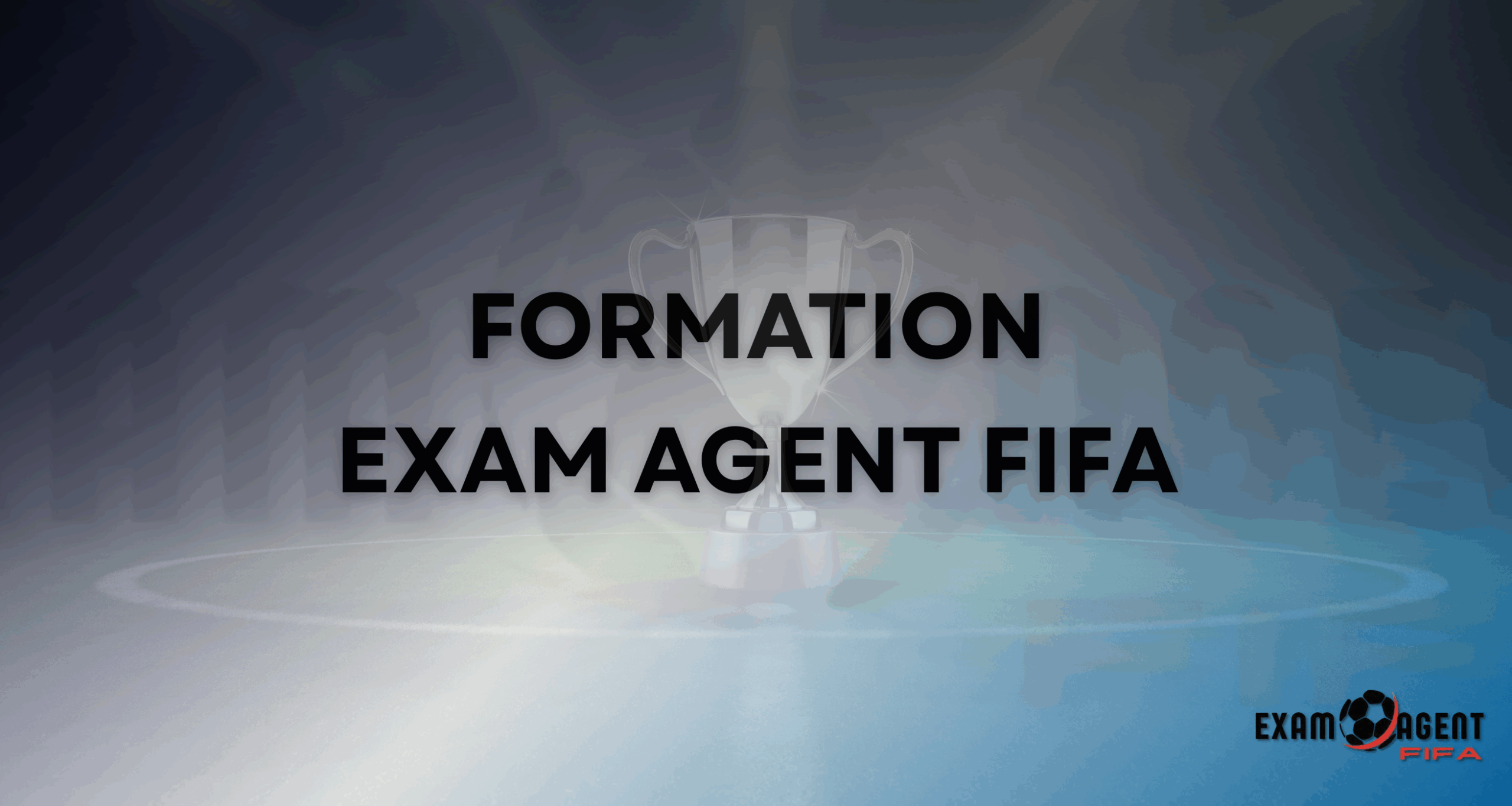 FIFA Exam Agent Training: PDF, Quiz, Video which one to choose?